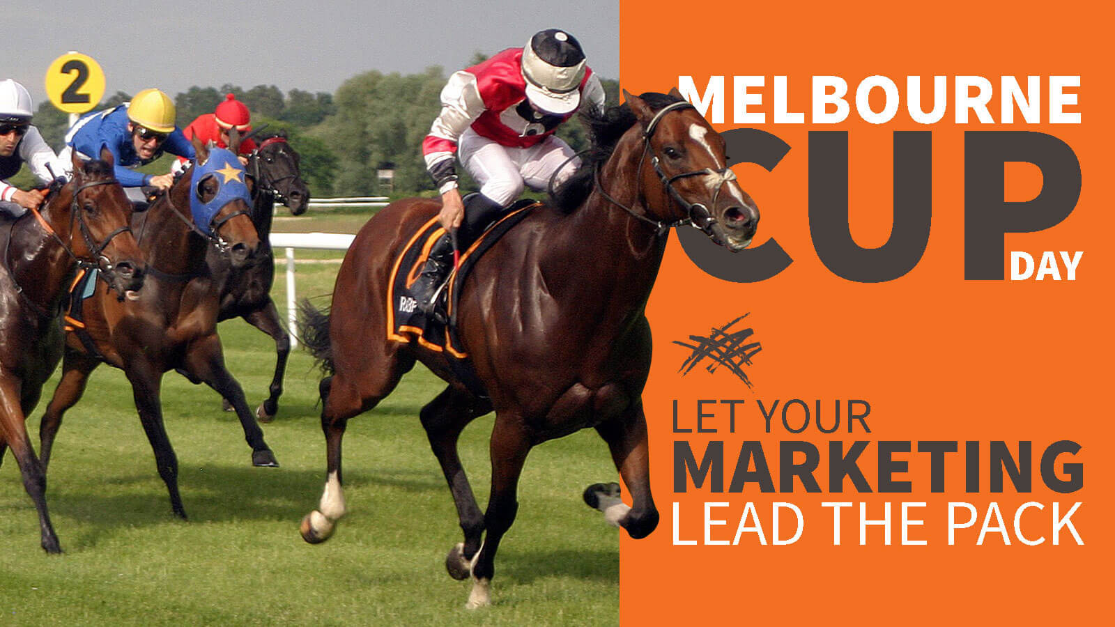 Let your marketing lead the pack this Melbourne Cup. - Almost Anything ...